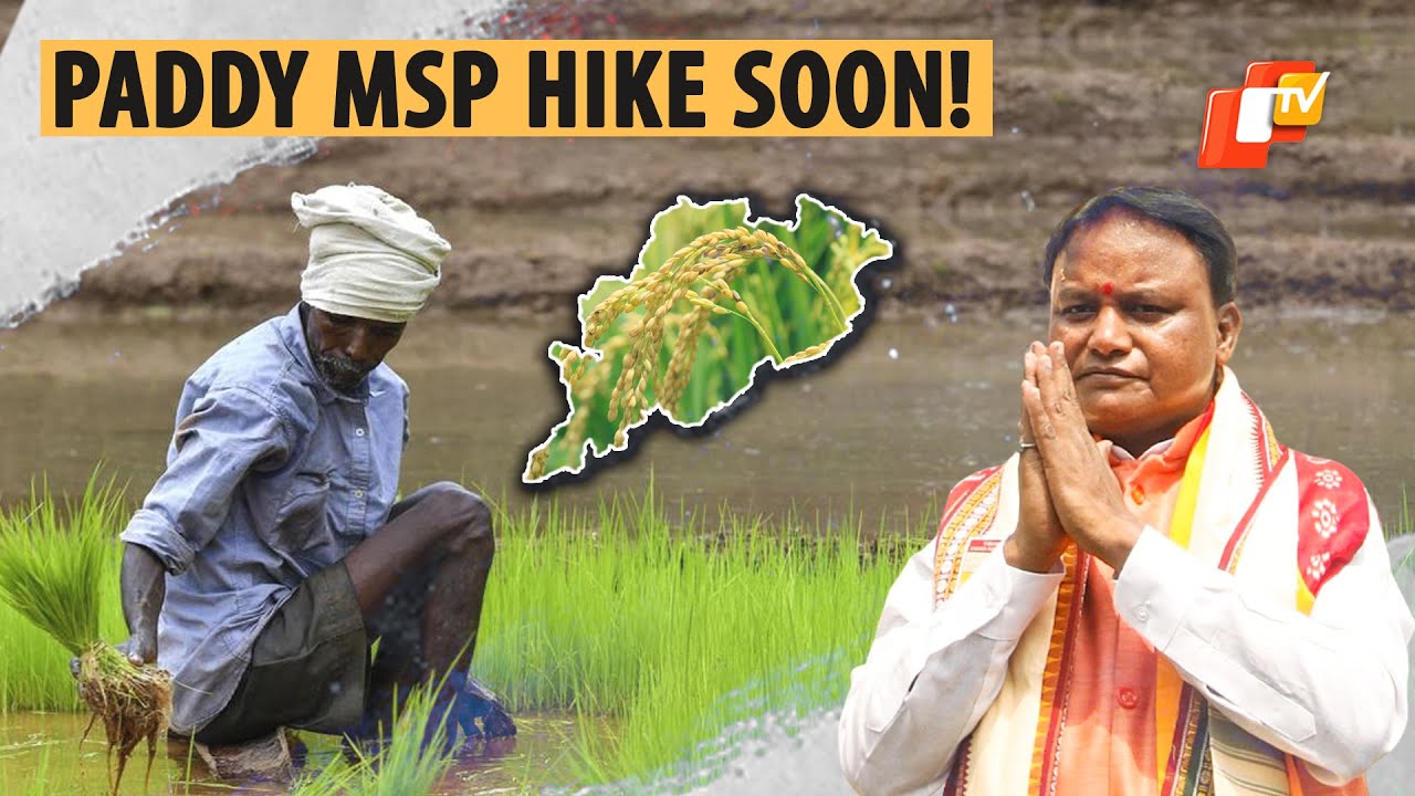 Odisha CM Announces Implementation Of Increased MSP For Paddy Under ...