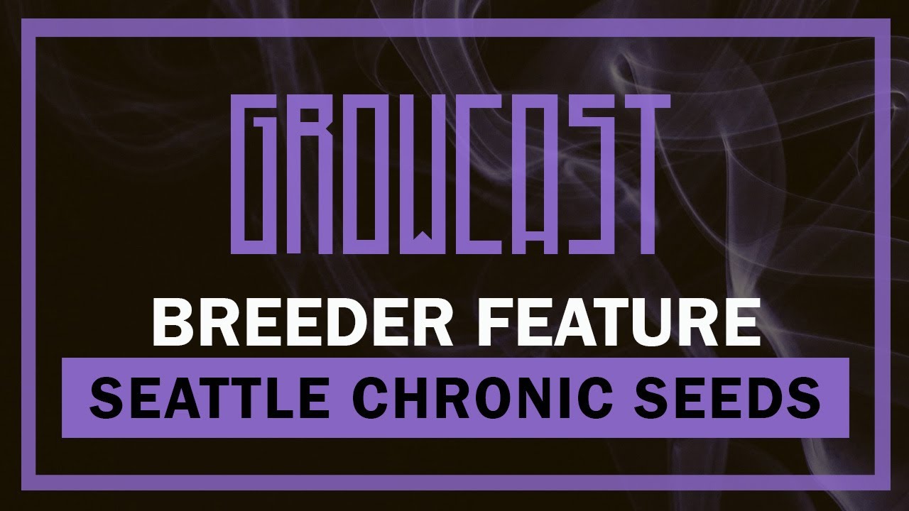 🧬 Breeding for Varins, Medicinal Cultivars, and Organic Growing, with Seattle Chronic Seeds ...