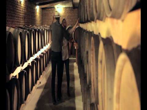 Teuta Selimi - Miqte e mi (Official Video)