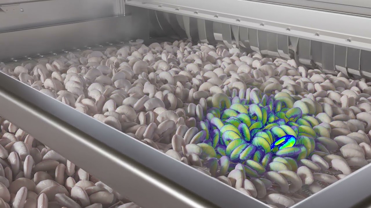 IQF Freezing Line with Weighing and Packing System - YouTube