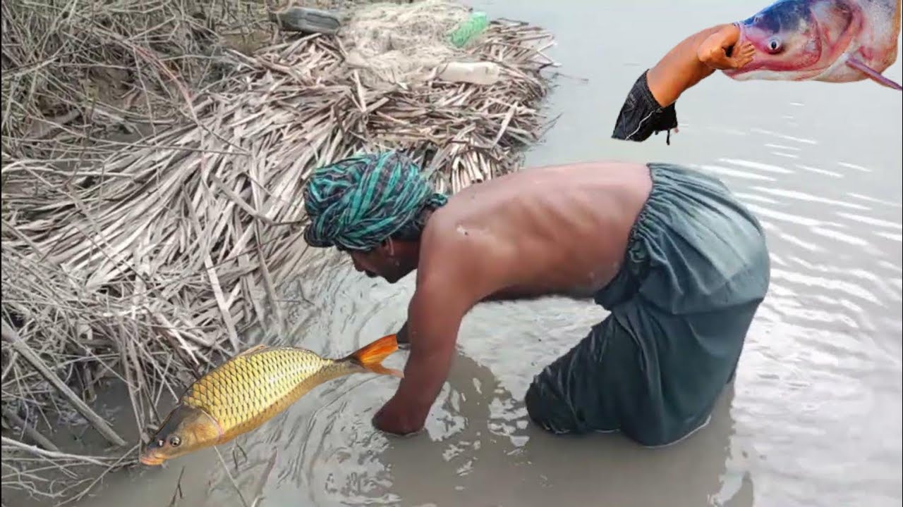 TOP VIDEOS : fishing technique unique fish video survival fishing creat ...