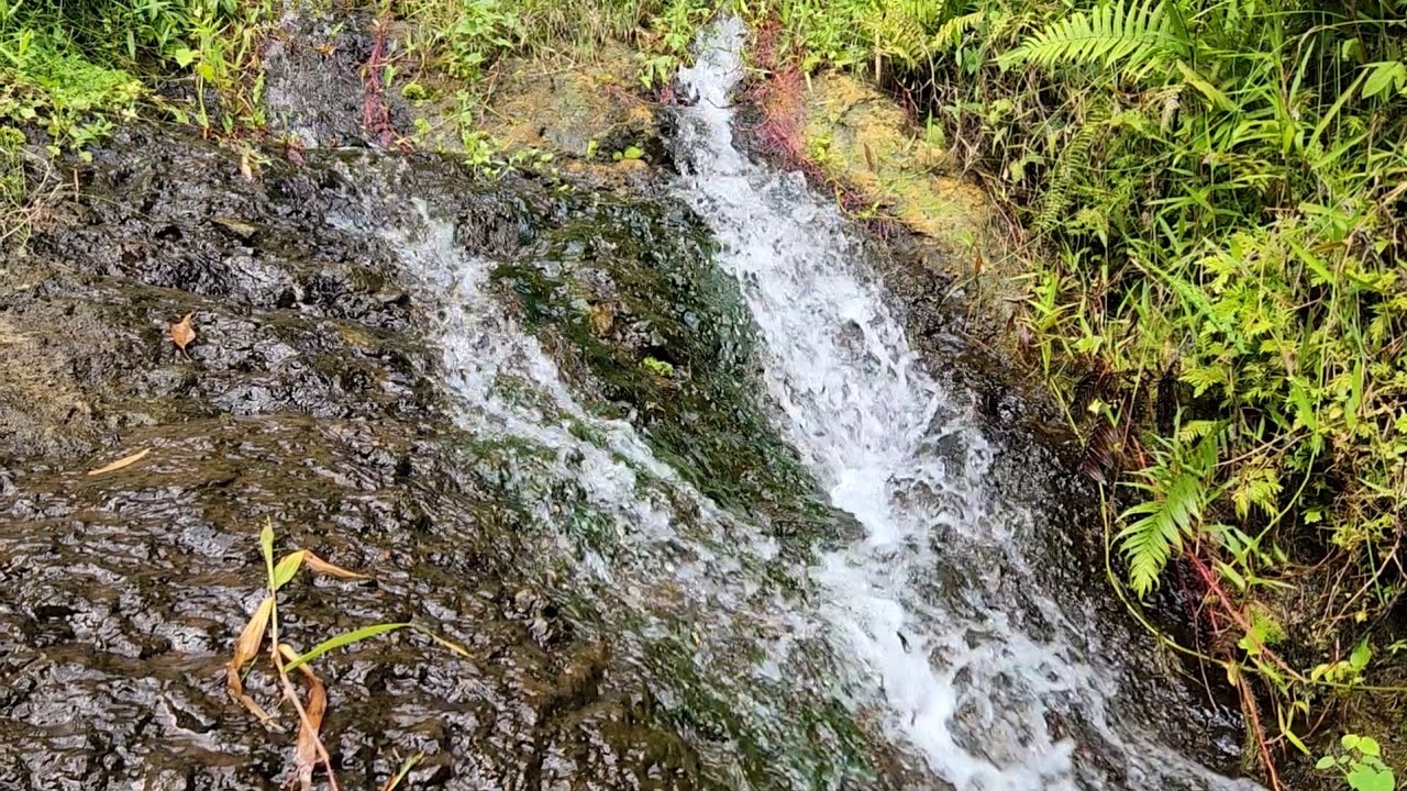 The flow of water that makes you fall asleep in 5 minutes - a gentle ...