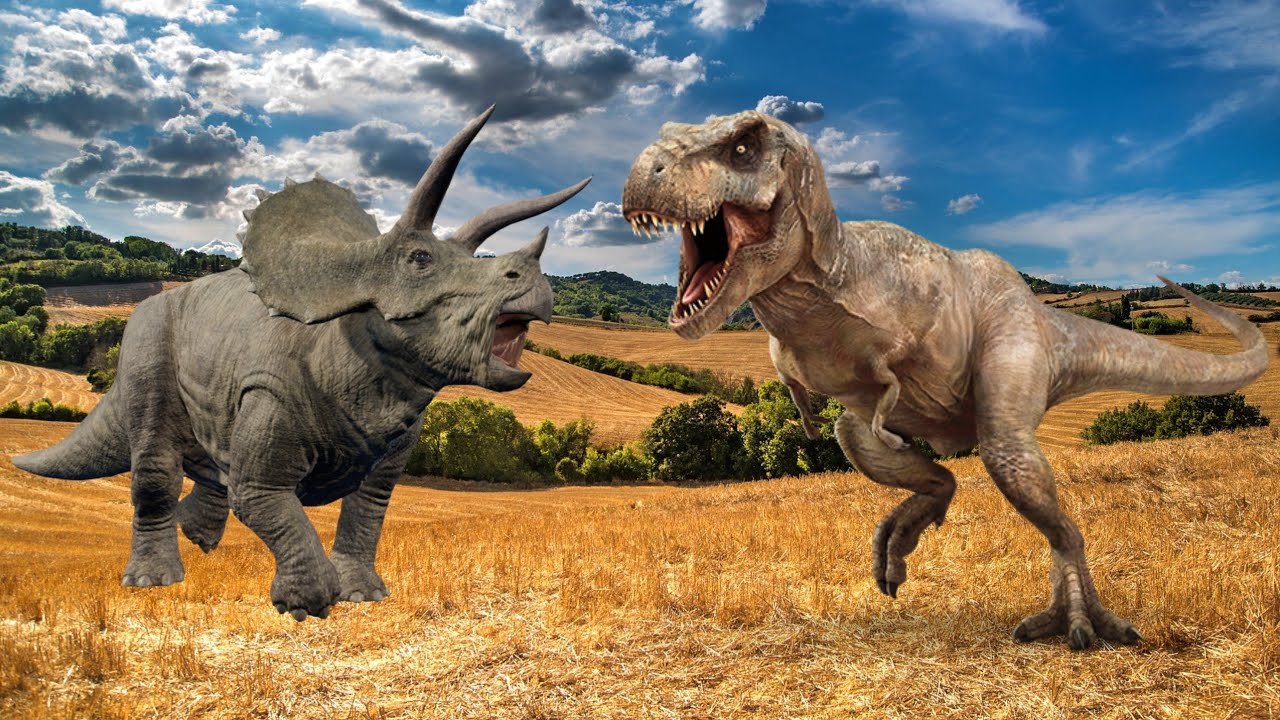 Triceratops Vs T-rex | @rrworld6506 - YouTube