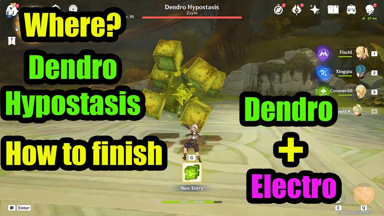 Place of new dendro boss Dendro/ Hypostasis and how do you finish ...
