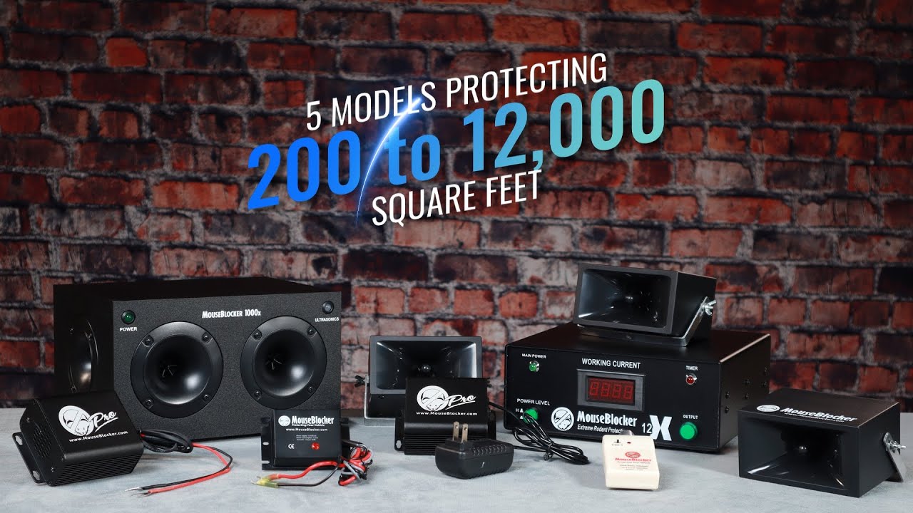 Mouse Blocker Fall Video - Protect your vehicle from rodent damage ...