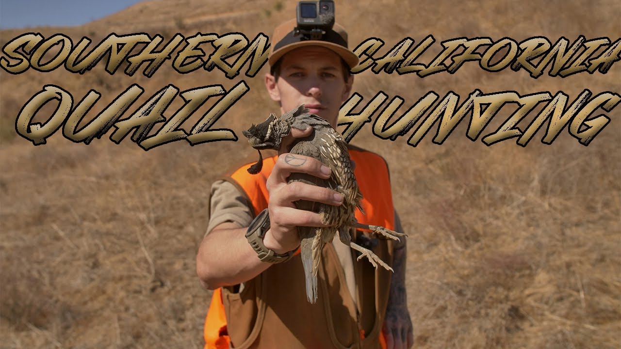California Quail Hunting - Opening Day 2021 - YouTube