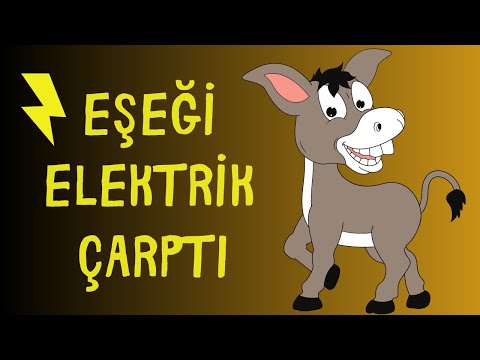 Elektrik Çarptı Eşek Öldü Kına Gecesi Komik Hatıralar 23 Ağustos 2008