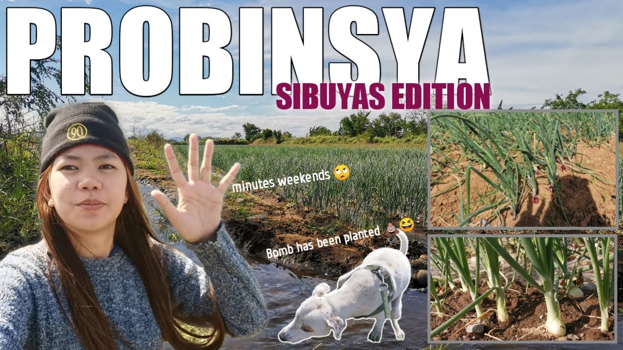 PROBINSYA FARM VIEWING | Lorisa Herrera - YouTube