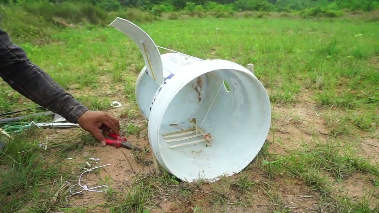 The First Creative Unique DIY Bird Trap Make From U 90 Bottle & Wood ...