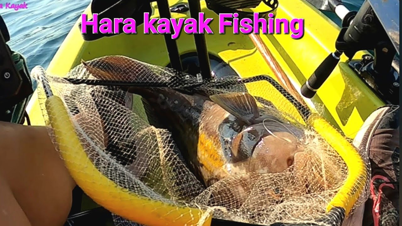 Κι άλλο βίντεο με ψάρια - Το γρήγορο ψάρεμα - Another one fishing video ...