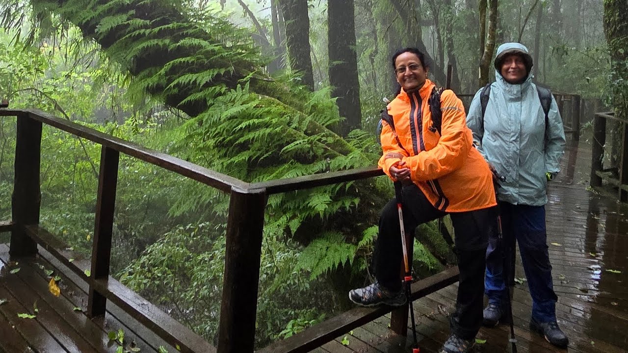 PART 4. 1.8.2024 Thursday. 1ST ACTIVITY, Don Inthanon National Park ...