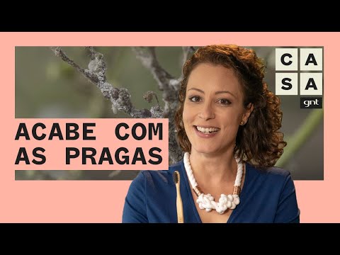 🐛 Como identificar e eliminar PRAGAS com soluções caseiras | Plante Você Mesmo | Carol Costa