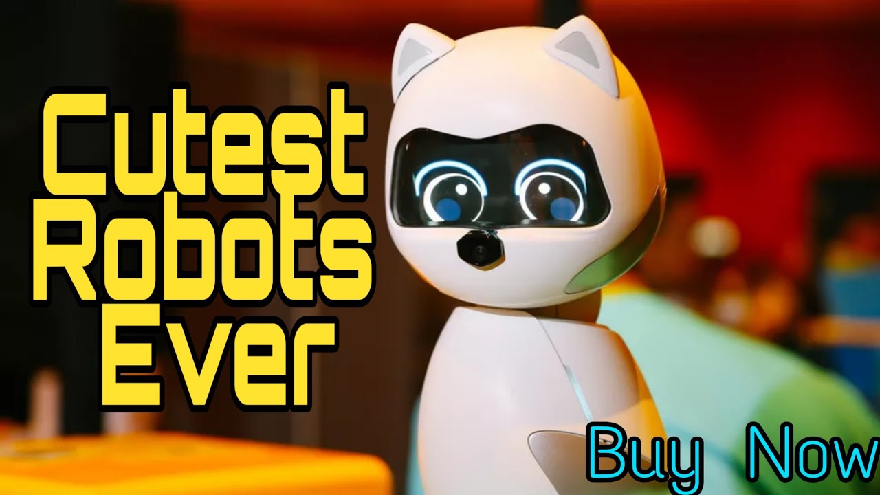Top 5 Cutest Robots that you must have one on 2020. - YouTube