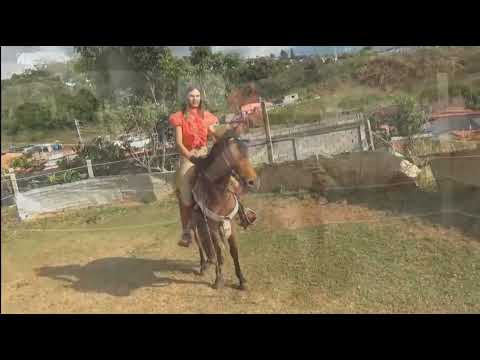 Cruel horse riding part 6