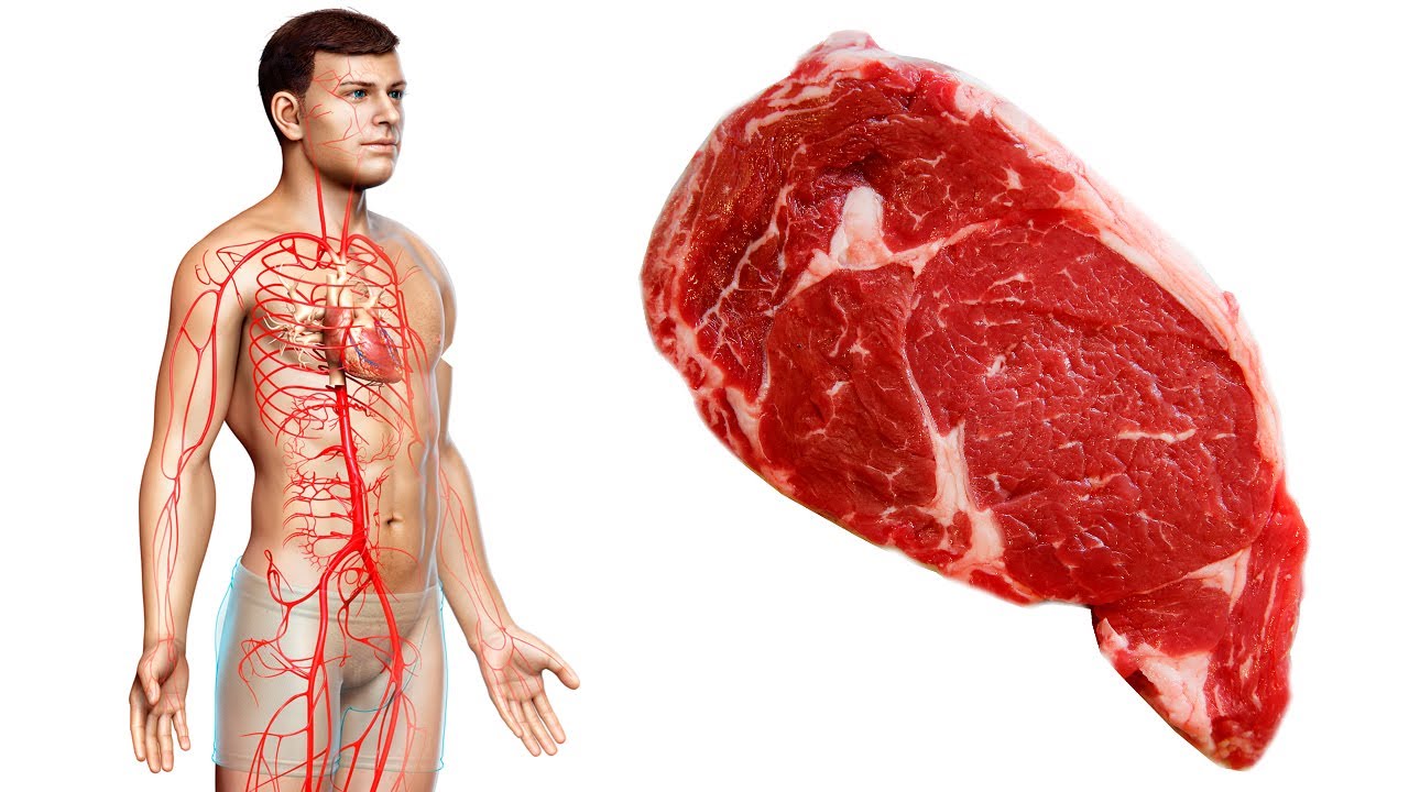 What Eating Too Much Meat Can Do To Your Body - YouTube