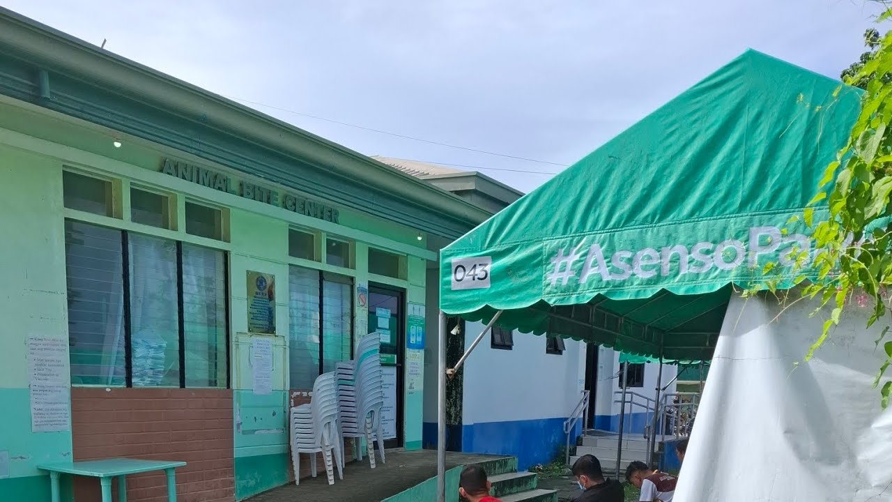 Animal Bite Center Tagbilaran Bohol Philippines 🇵🇭 - YouTube