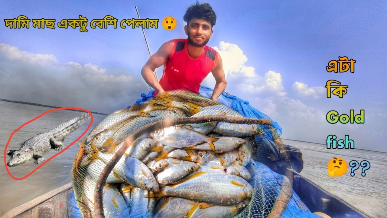 Sundarban Adventure Fishing | Awesome Fish Catching - YouTube