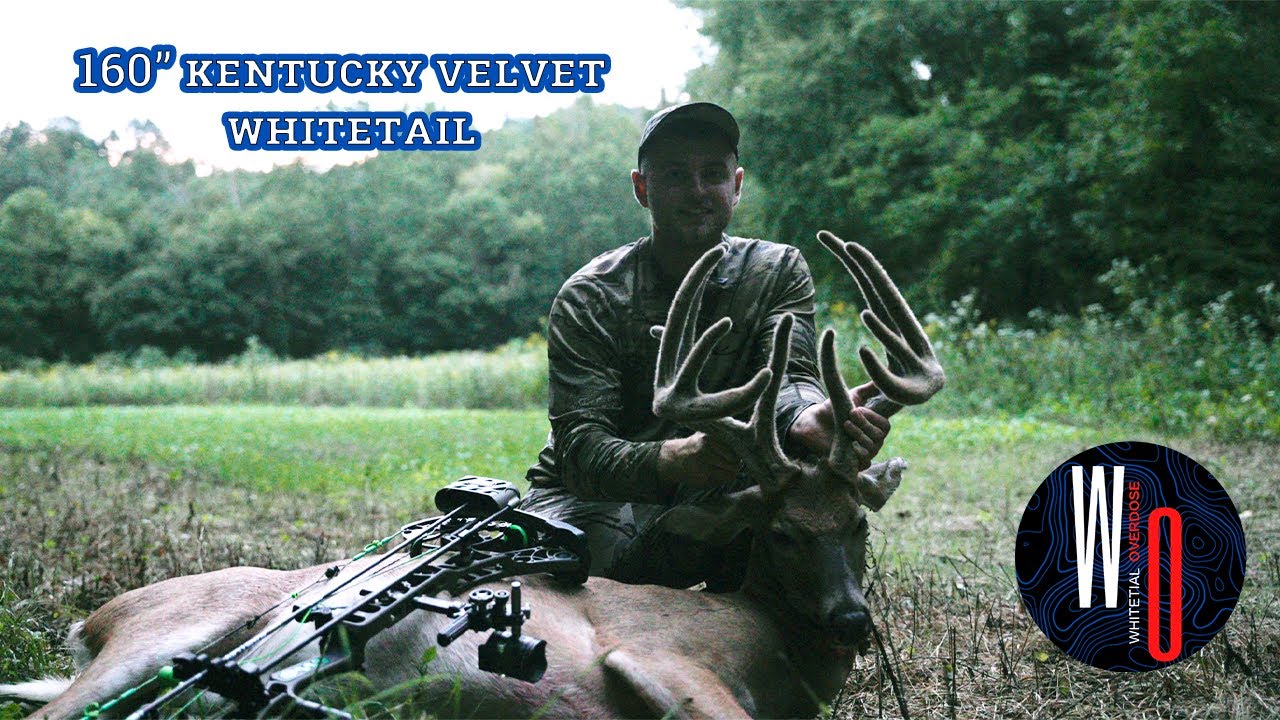 The Hunt for Kentucky Velvet..... 160 INCH BOW KILL | Whitetail ...