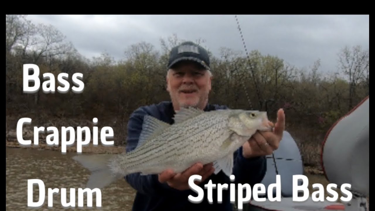 Bass|Crappie|Striped Bass|Drum - YouTube