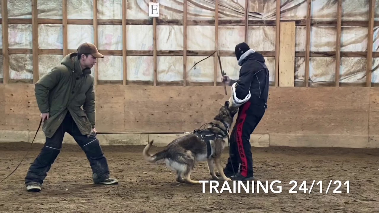 IGP training: January 24, 2021 - YouTube