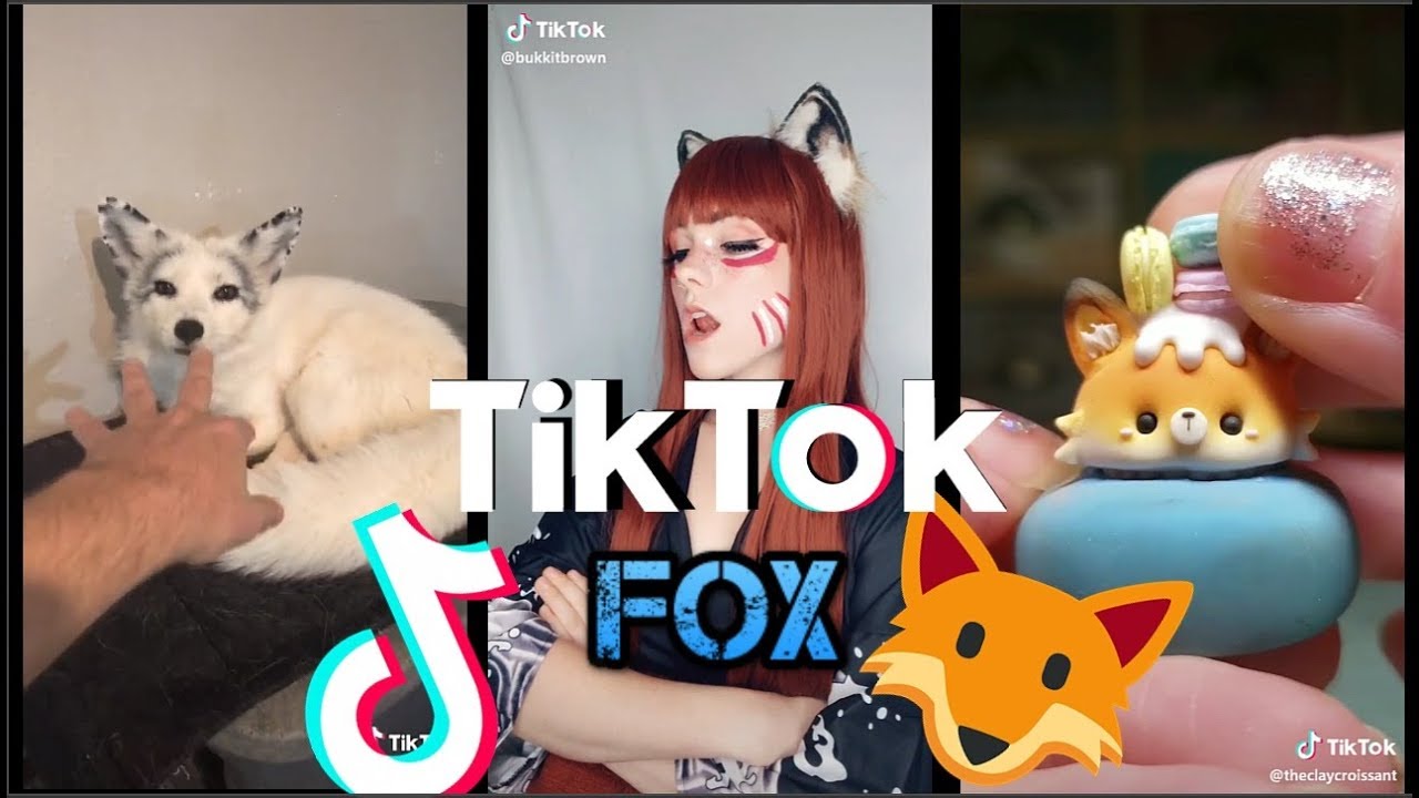 TikTok - Fox - July 2019 - YouTube