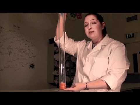 What is Galileo's theory of gravity? Ashley demonstrates using a ...