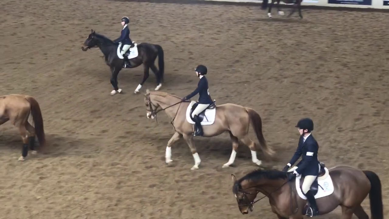 IEA Nationals Varsity Intermediate On The Flat 2019 - YouTube