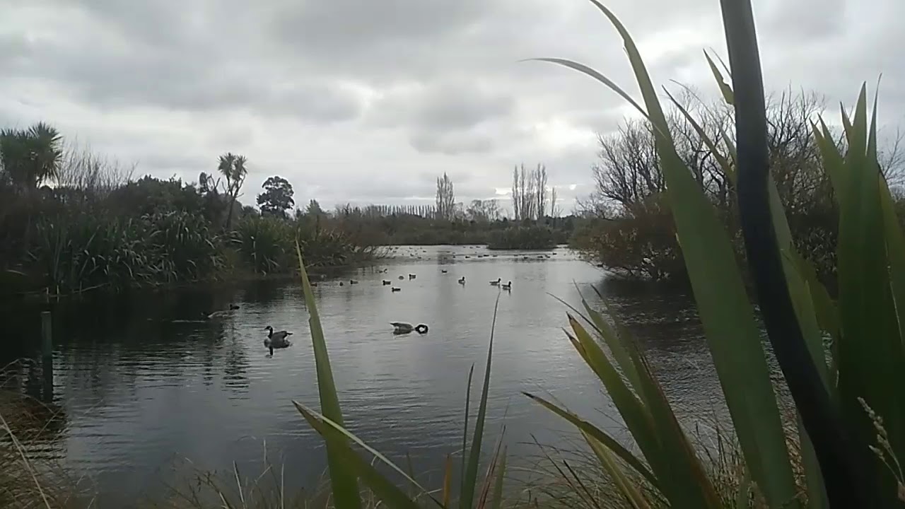 Styx mill Conservation । Jatra । যাত্রা - YouTube