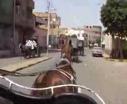 Egypt Idfu (Edfu) Fiacres