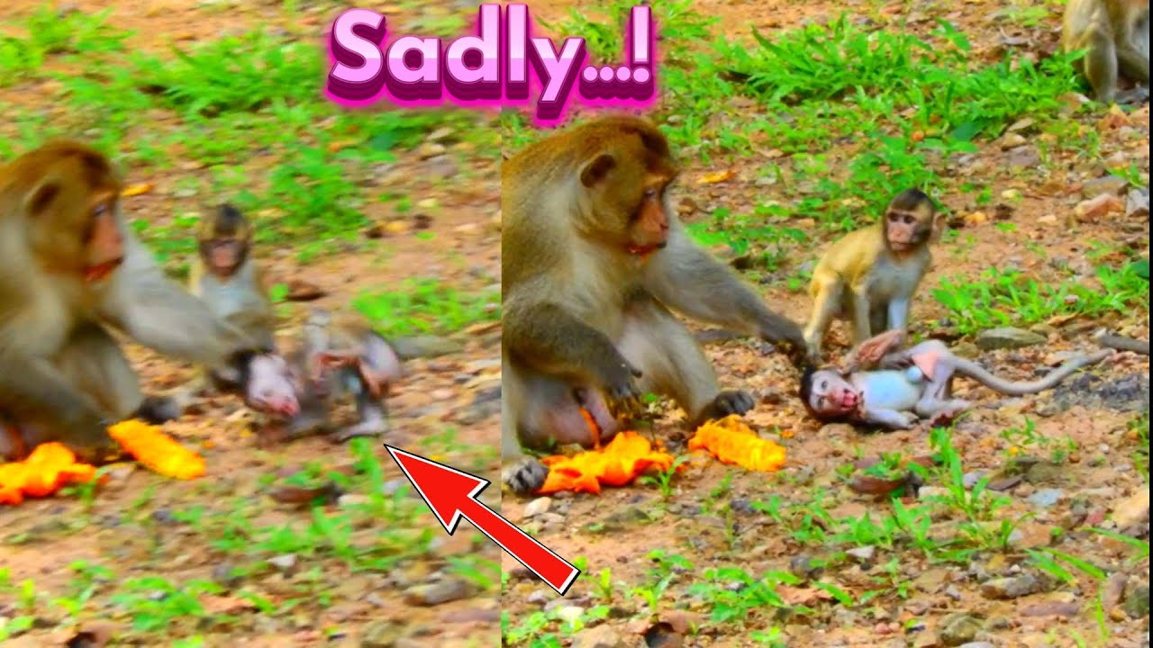 Badly Time! Really One Strike, Poorest Baby Cry Loudly Nearly Pass Way ...