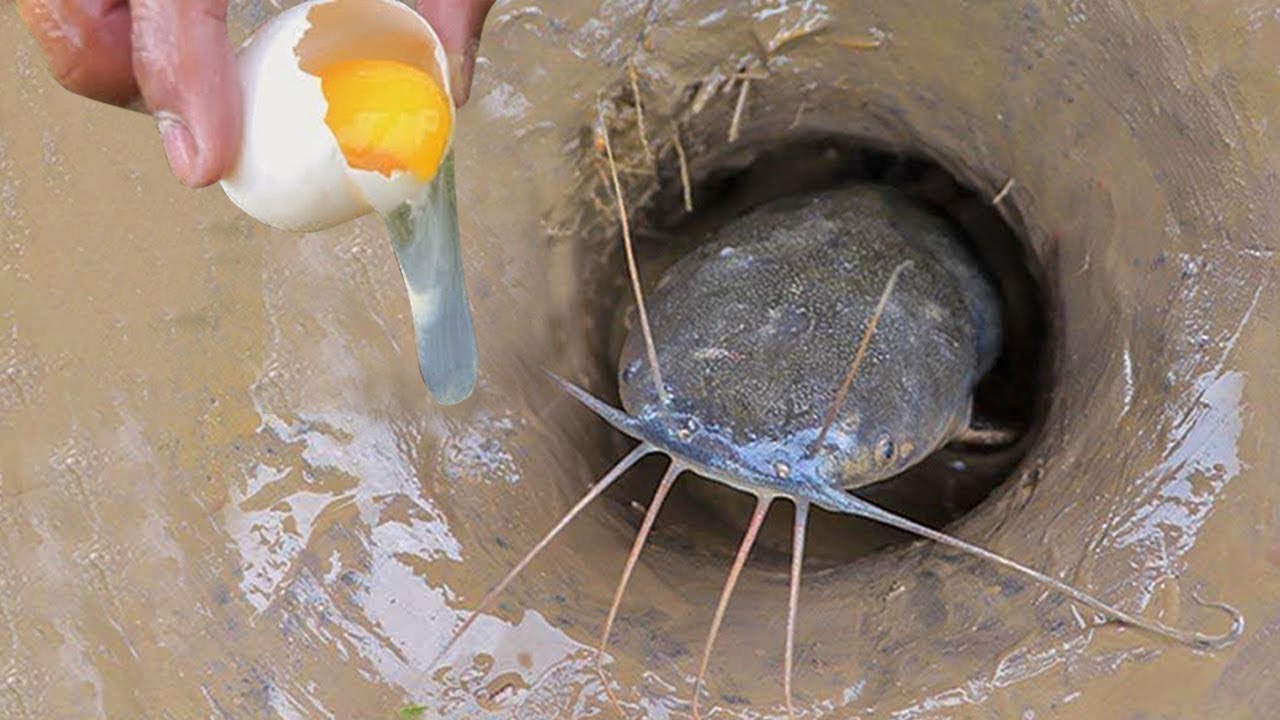 Unbelievable fishing experiment: Catch fish from the hole with eggs ...