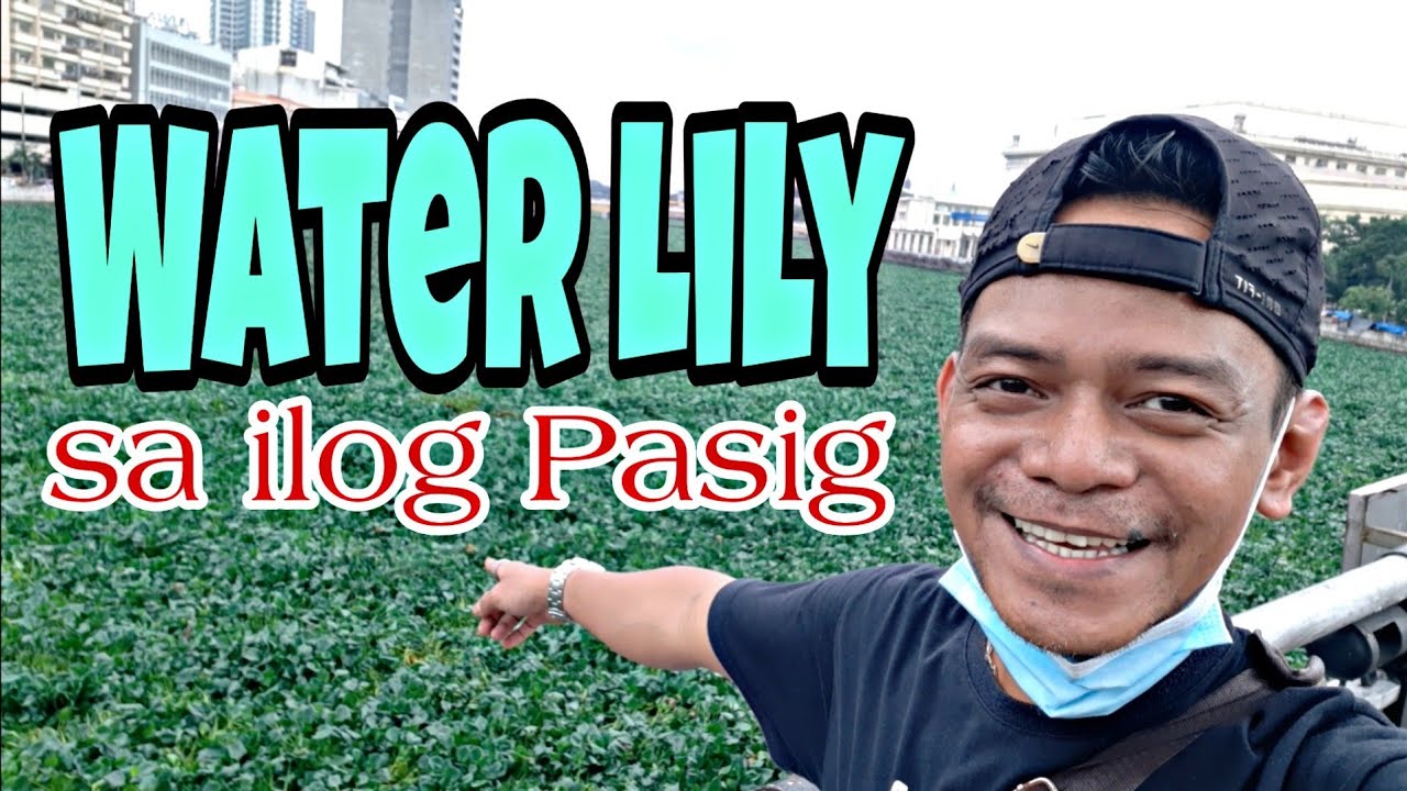 Water lily | MacArthur bridge | Pasig River | Manila - YouTube