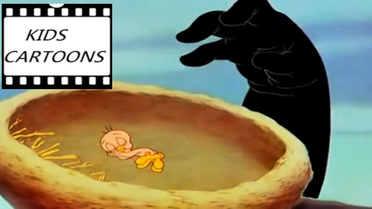 Tweety Bird Debut – A Tale of Two Kitties | Kids Cartoons | Cartoons ...