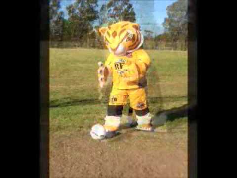 Greta Branxton WILDCATS MASCOT- soccer club grand final 2012 with music ...
