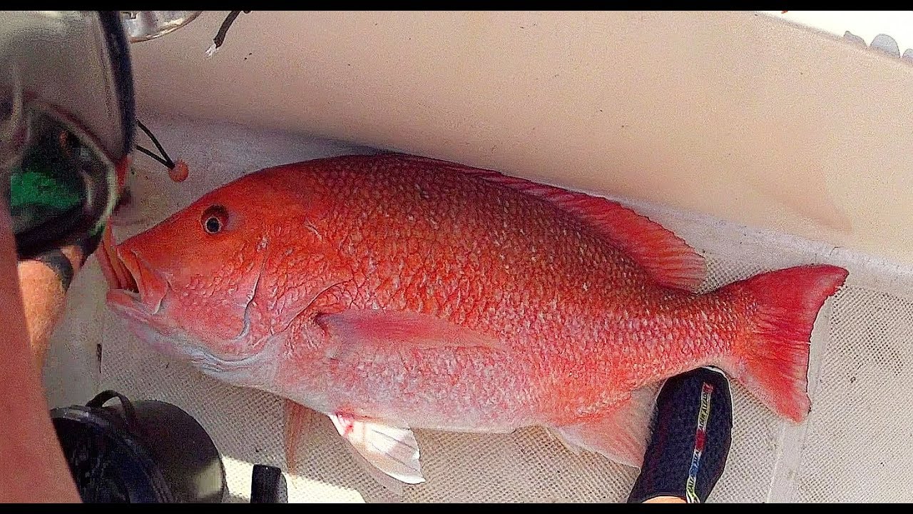 Heavy Lifting - YouTube