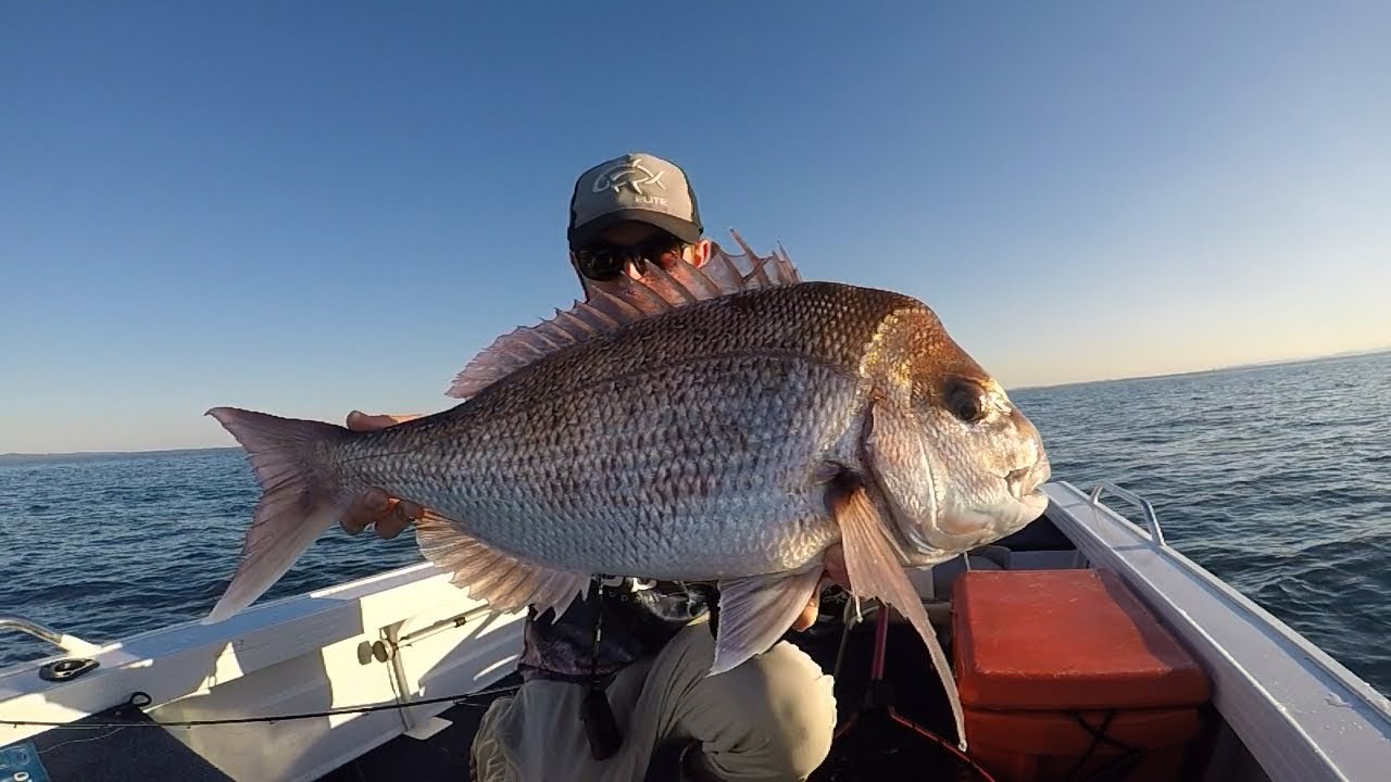 Moreton Bay Snapper & Longtail Tuna - YouTube