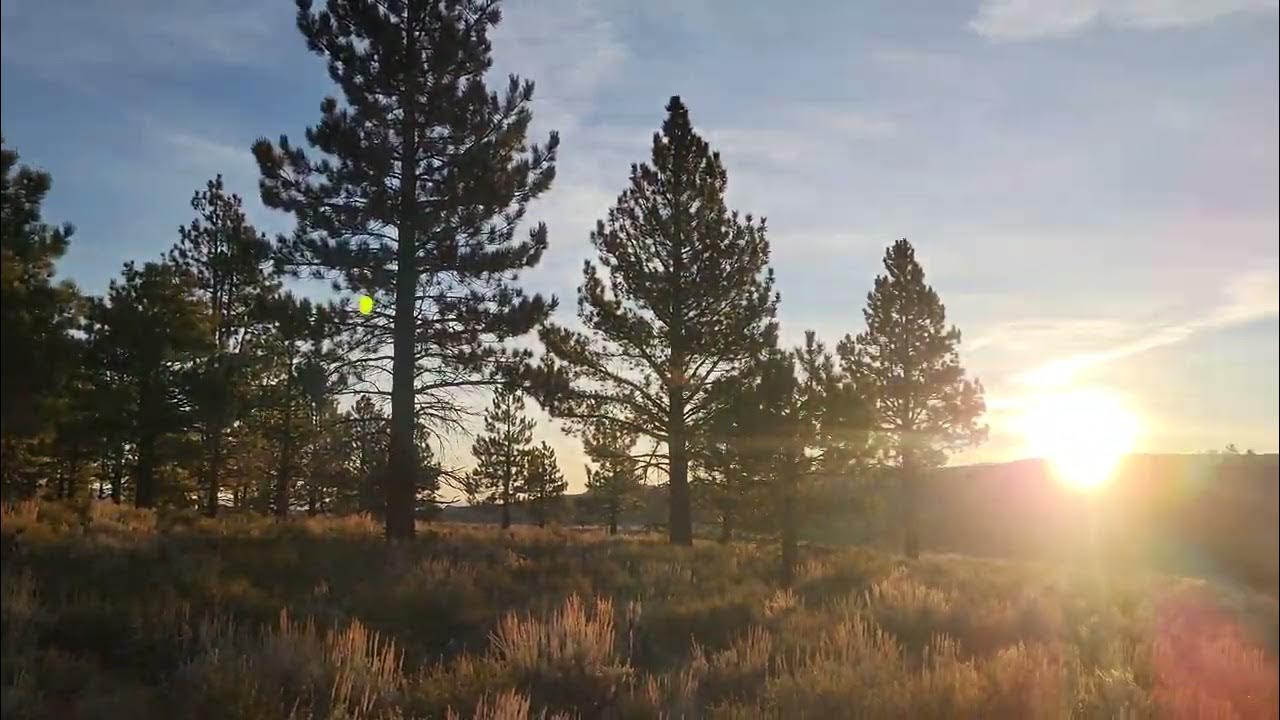 Video of Sagehen Meadows Campground, CA from Claudia S. - YouTube