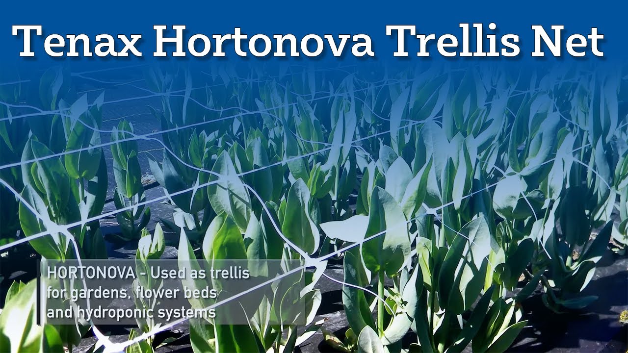 Tenax Hortonova Trellis Net - YouTube