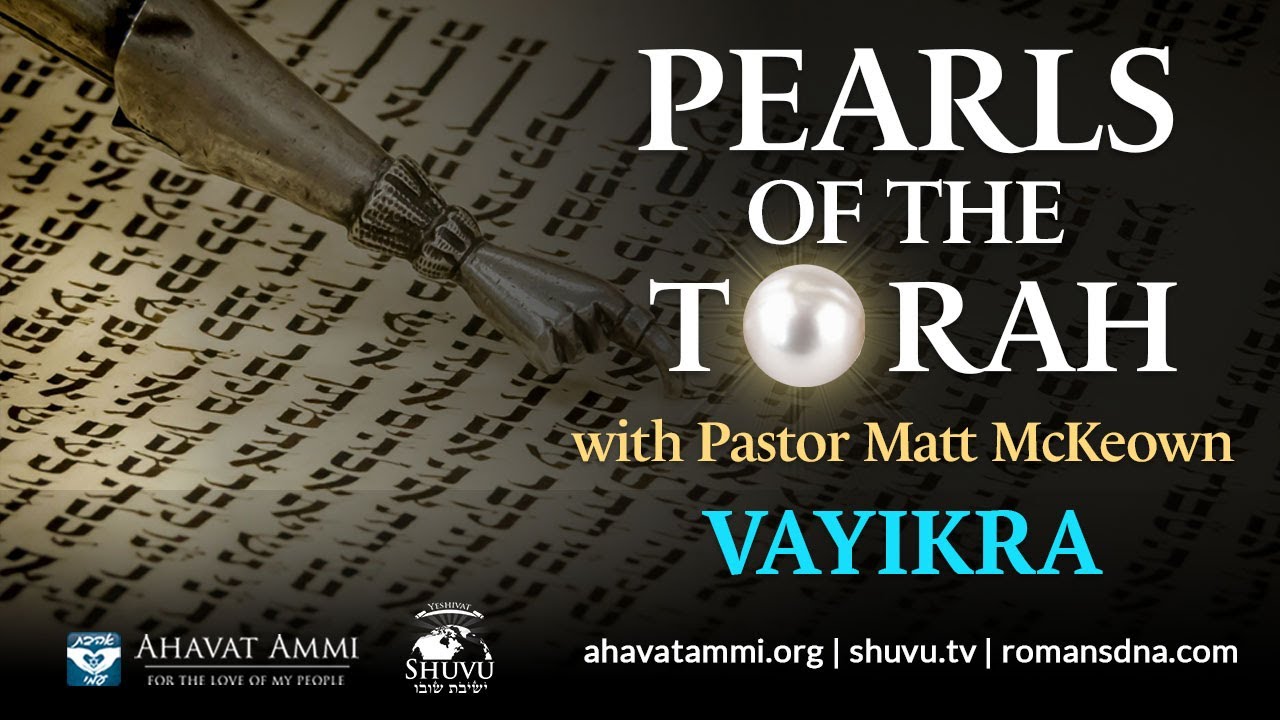 Pearls Of The Torah for Parashat Vayikra - YouTube