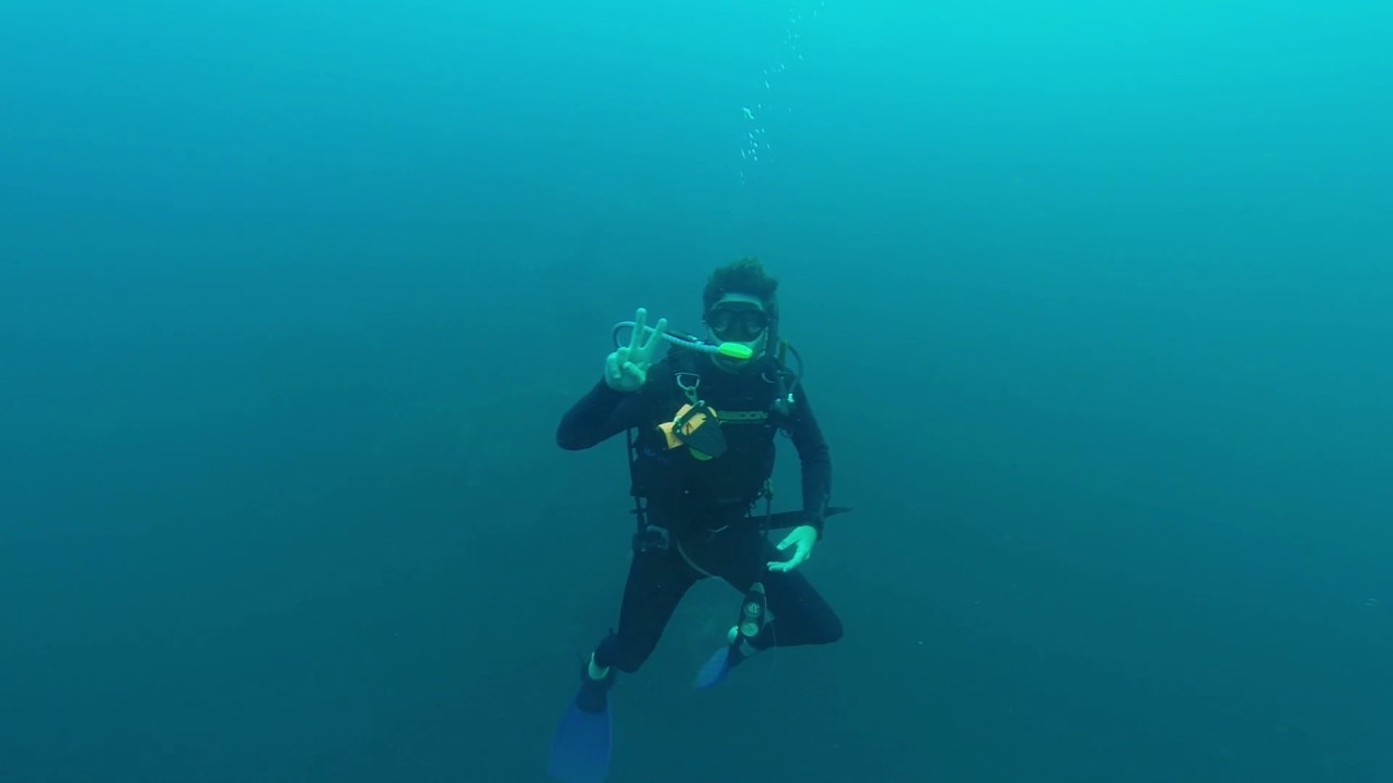 Protea Banks Dive March 2017 - YouTube
