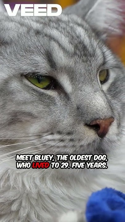 🤯 Fear of LONG Words?! + More Amazing Animal & Earth Facts! - YouTube