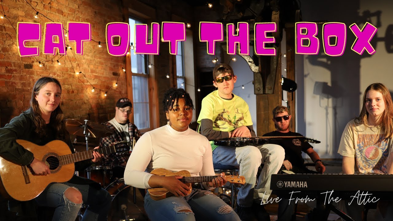 Cat Out The Box - Eclectic Measures - YouTube