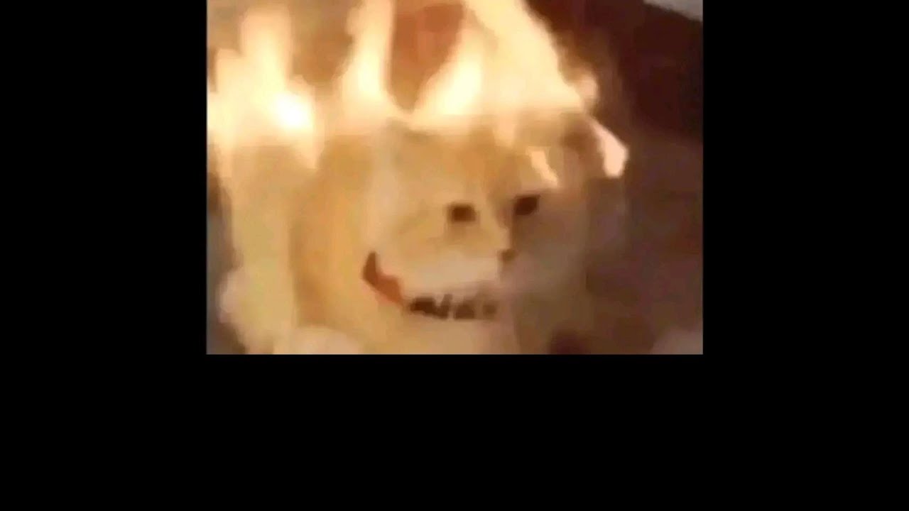 josh plays undertale - YouTube