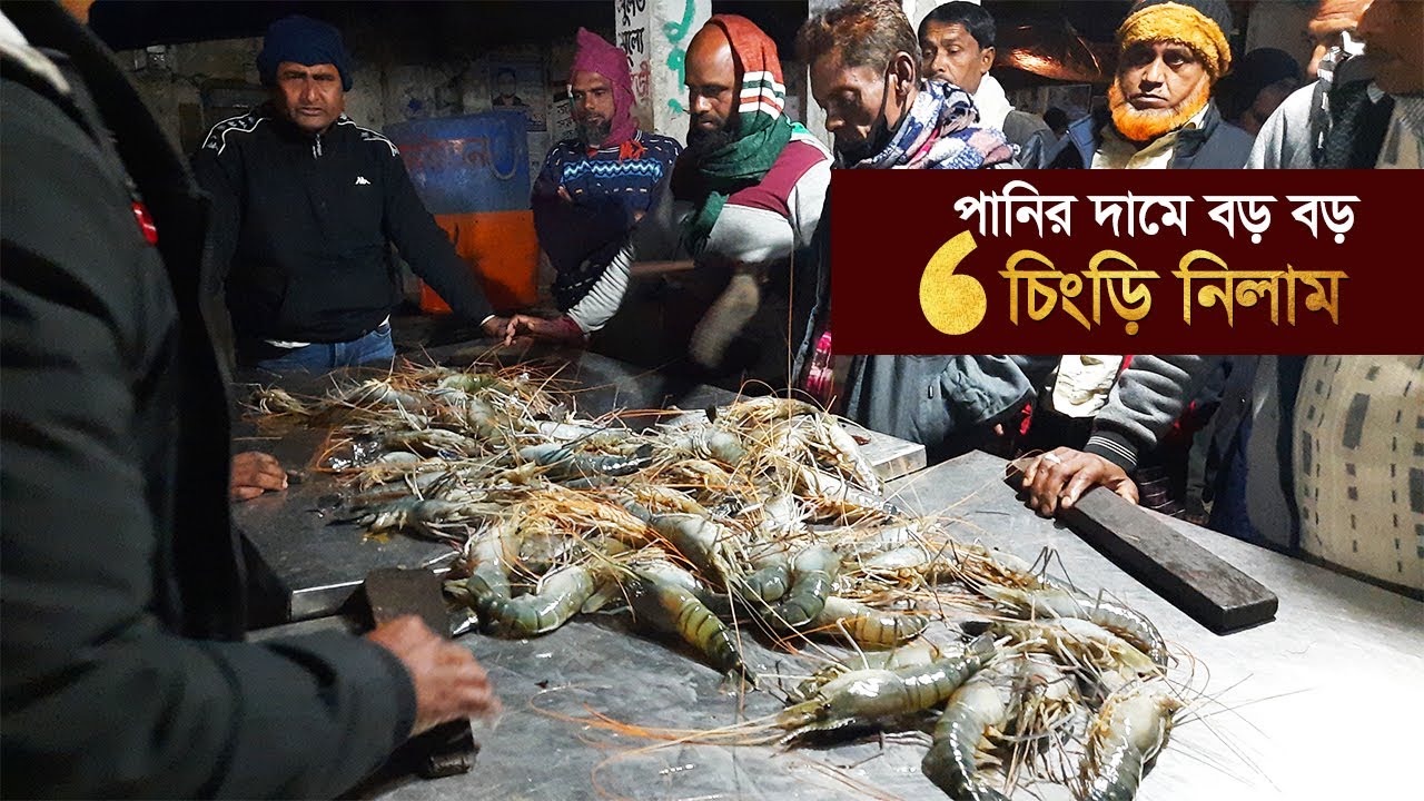 Cheapest Shrimp Fish Market in Bangladesh | Shrimp Fish Factory Episode ...