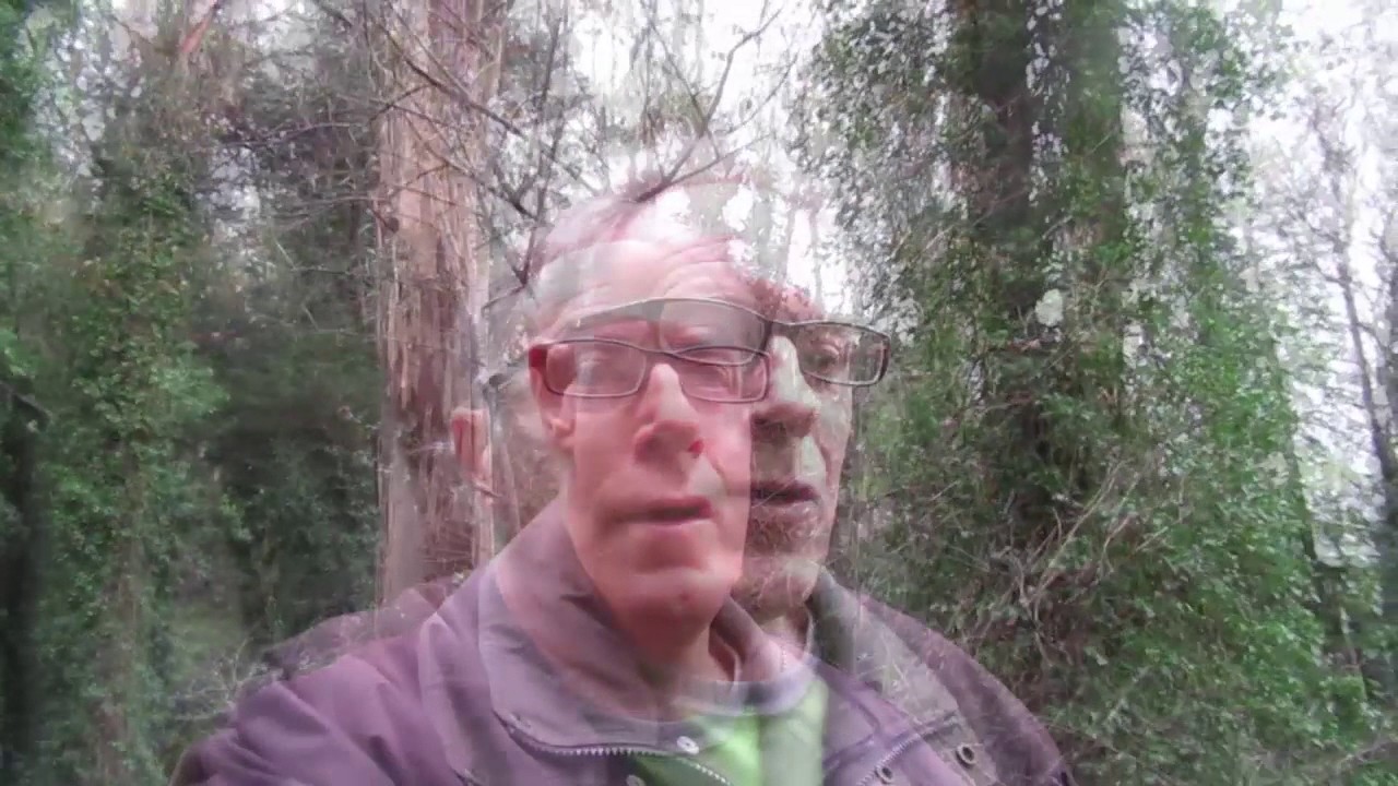Spring And Fall At The Same Time - YouTube