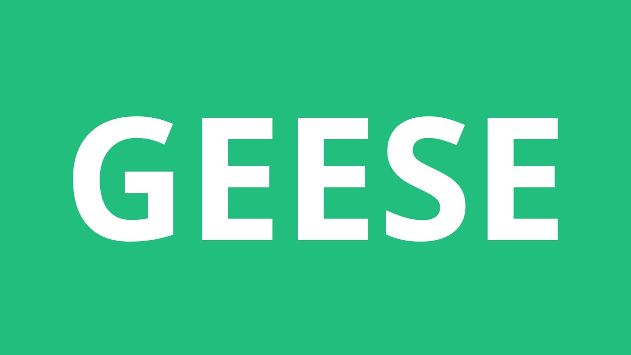 How To Pronounce Geese - Pronunciation Academy - YouTube