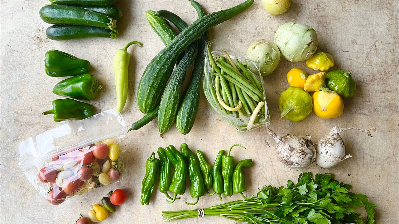 2024 CSA Week 10 - YouTube