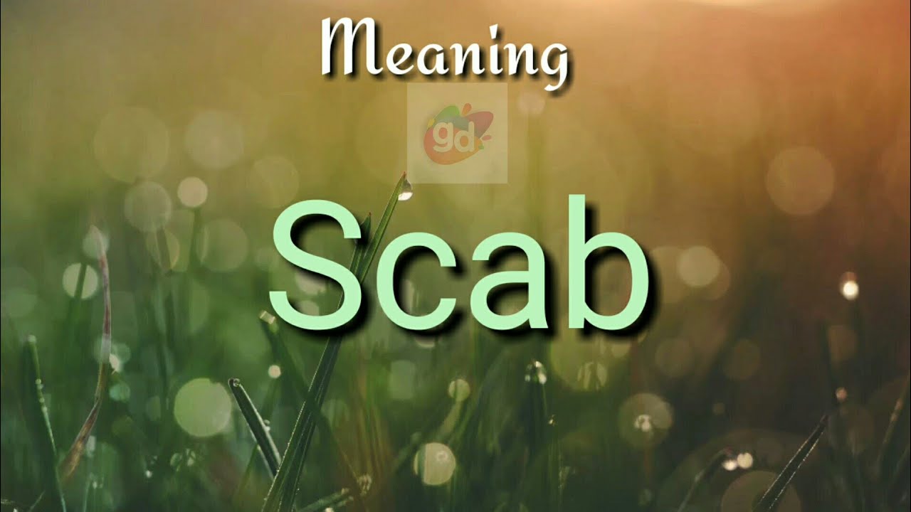 Scab Meaning with Pronunciation//Googul Dictionary// - YouTube