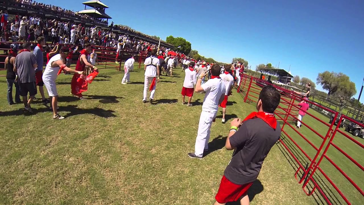 The Great Bull Run Florida gopro HD - YouTube