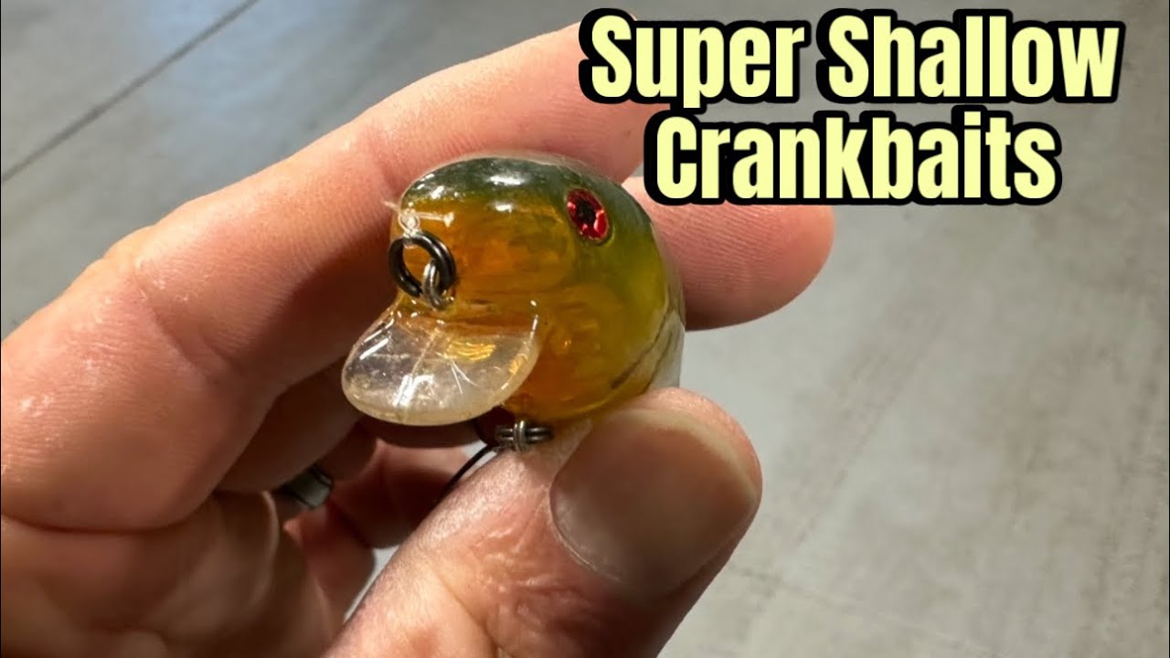 When A Super Shallow Crankbait Catches More Fish Than ANY Other Lure ...